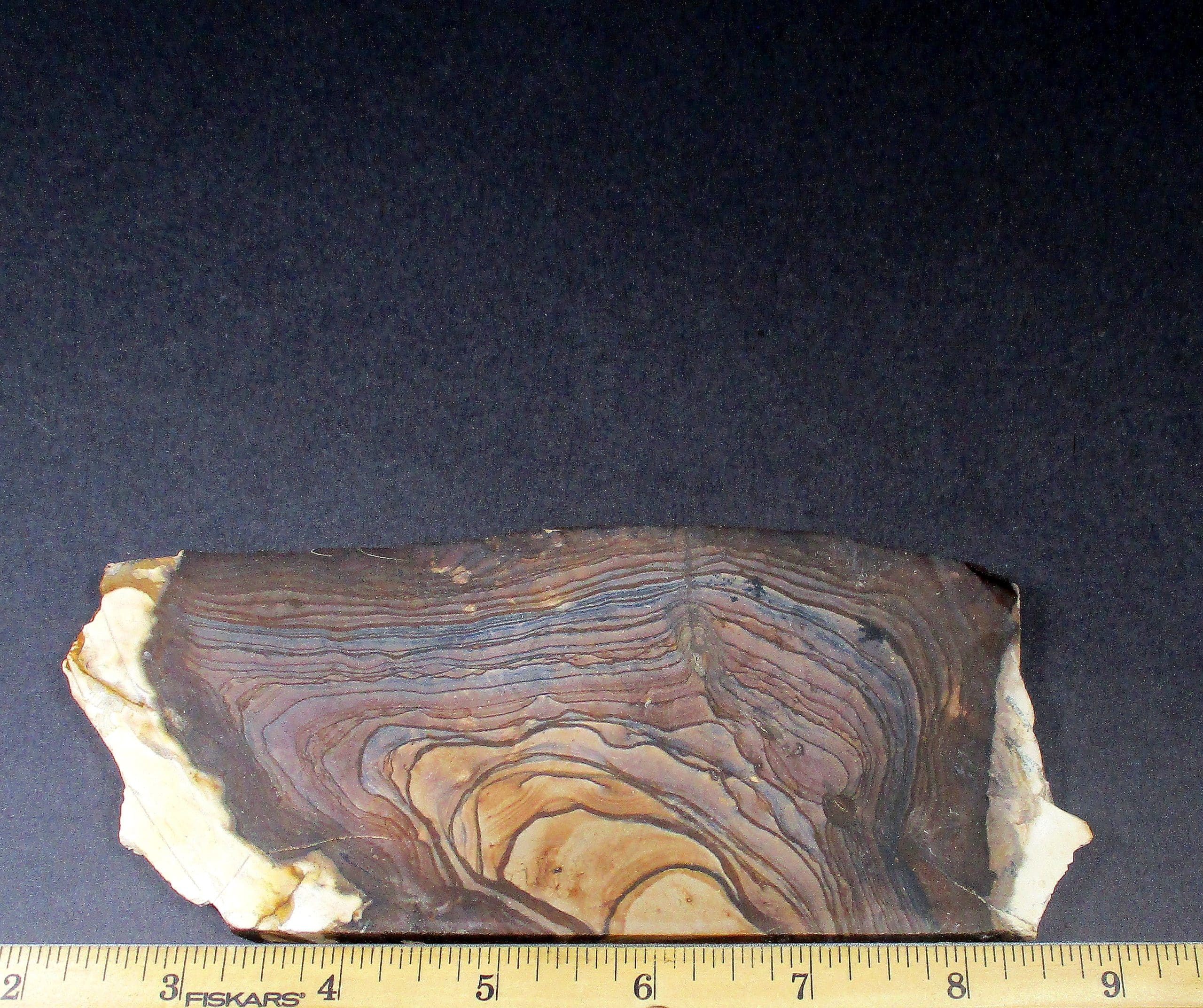 SL305 Biggs Jasper - The Rock Shed