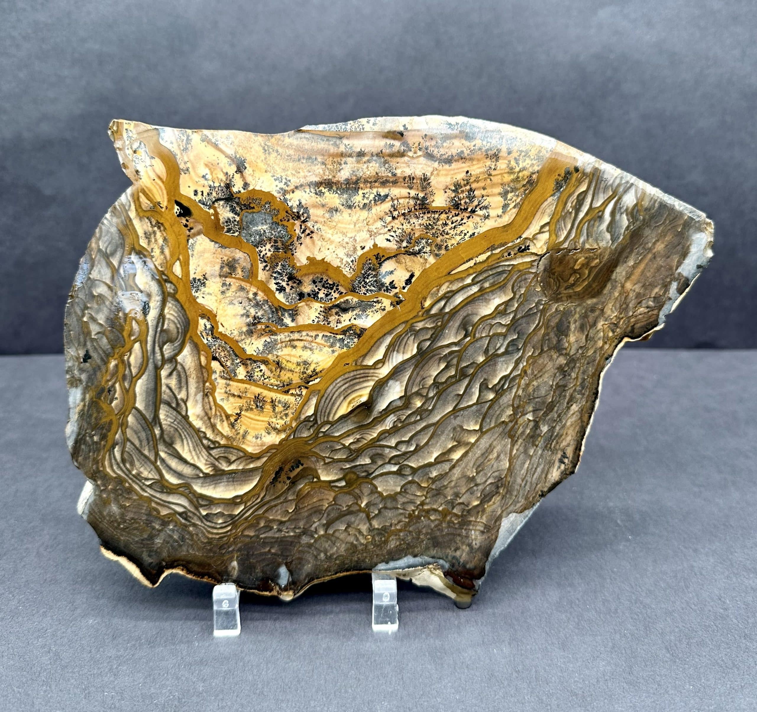 SL305 Biggs Jasper - The Rock Shed