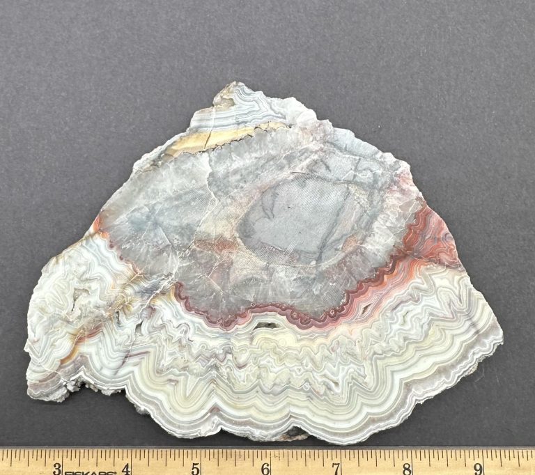 SL303 Mexican Lace Agate - The Rock Shed