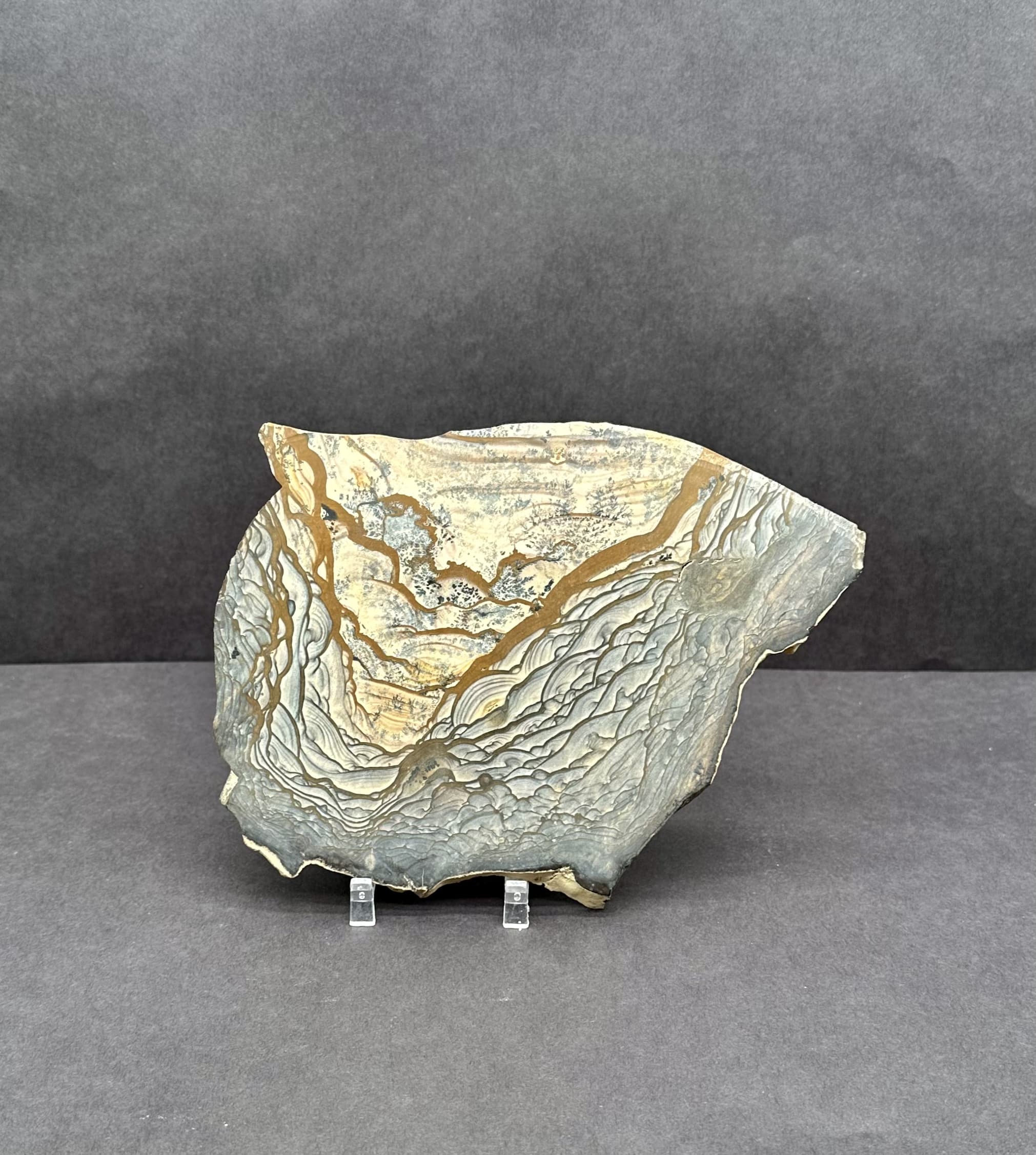 SL305 Biggs Jasper - The Rock Shed