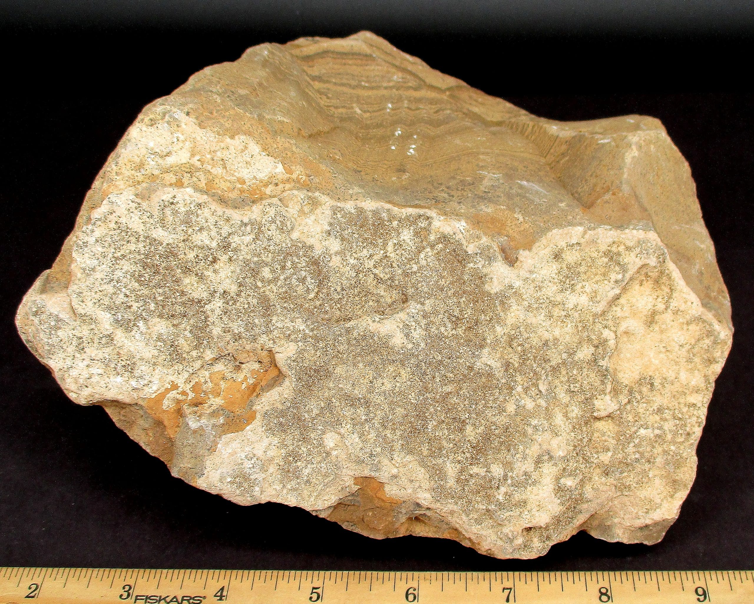 GR121 Picture Jasper - The Rock Shed