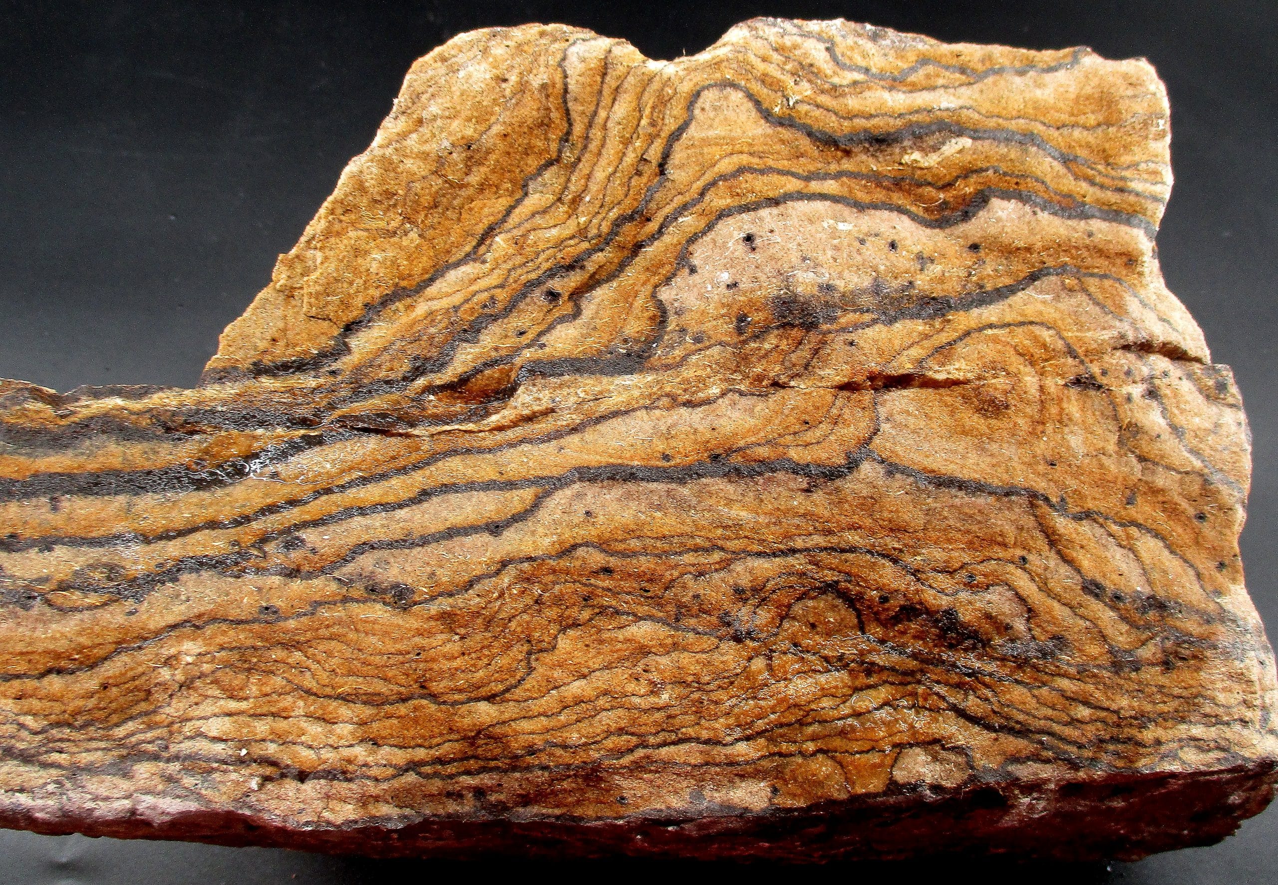 GR123 Sandstone - The Rock Shed