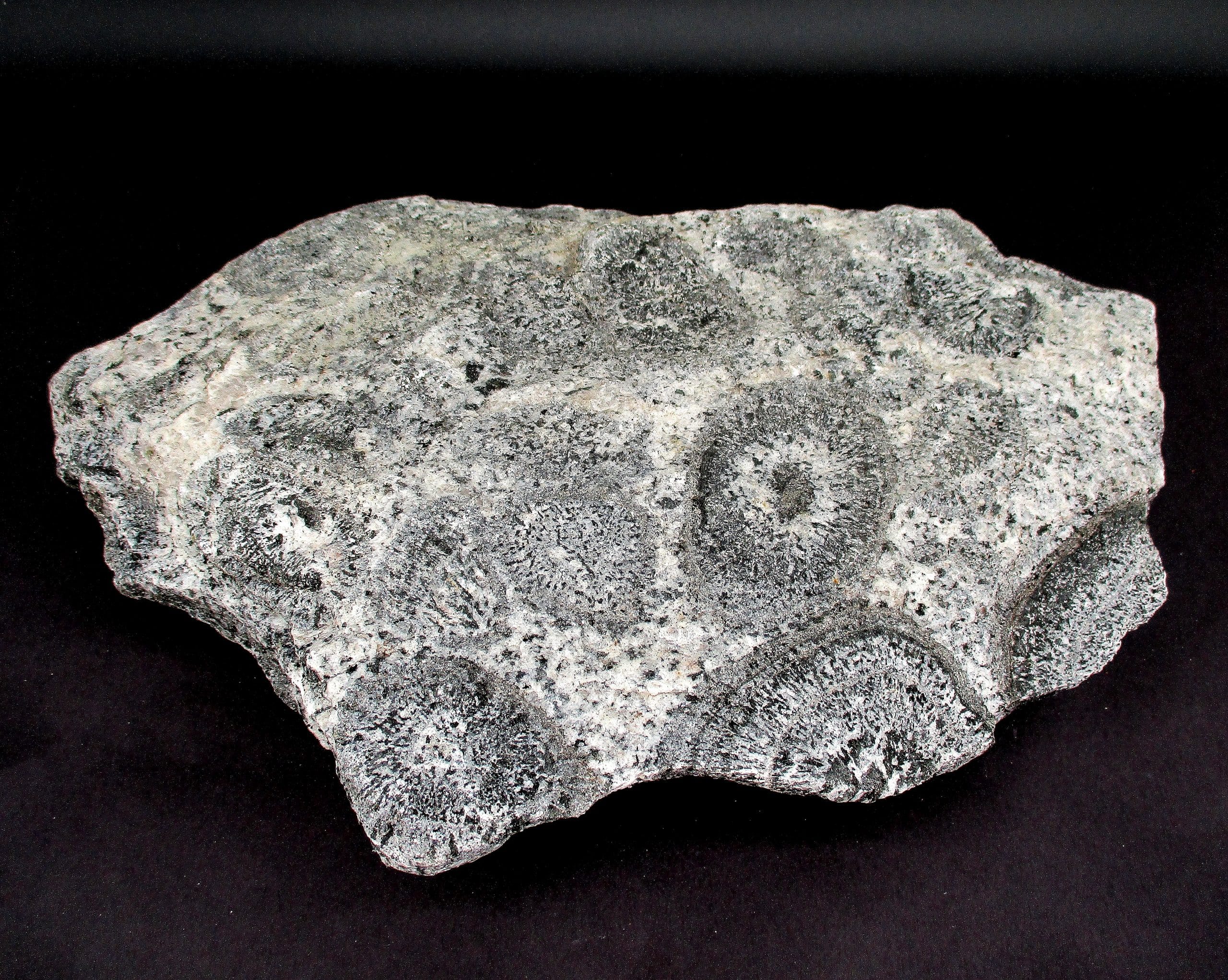 GR127 Orbicular Granite - The Rock Shed