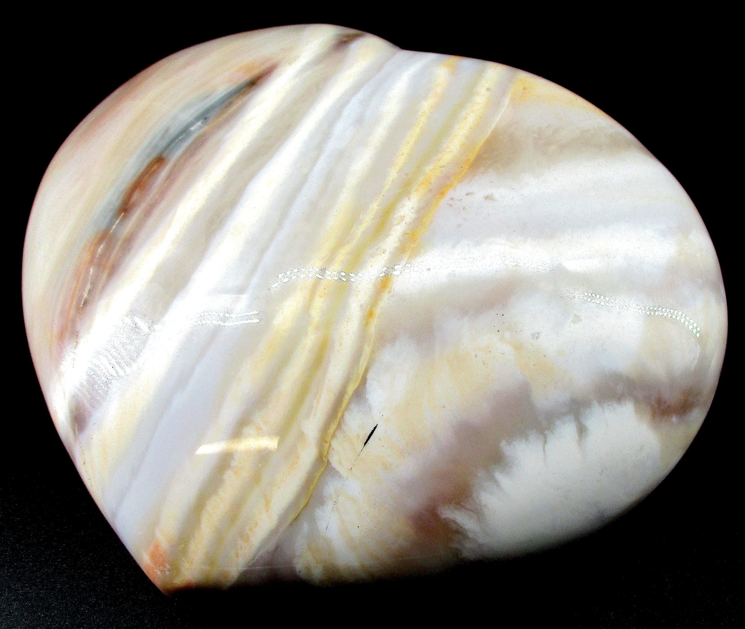 H614 Ribbon Polychrome - The Rock Shed