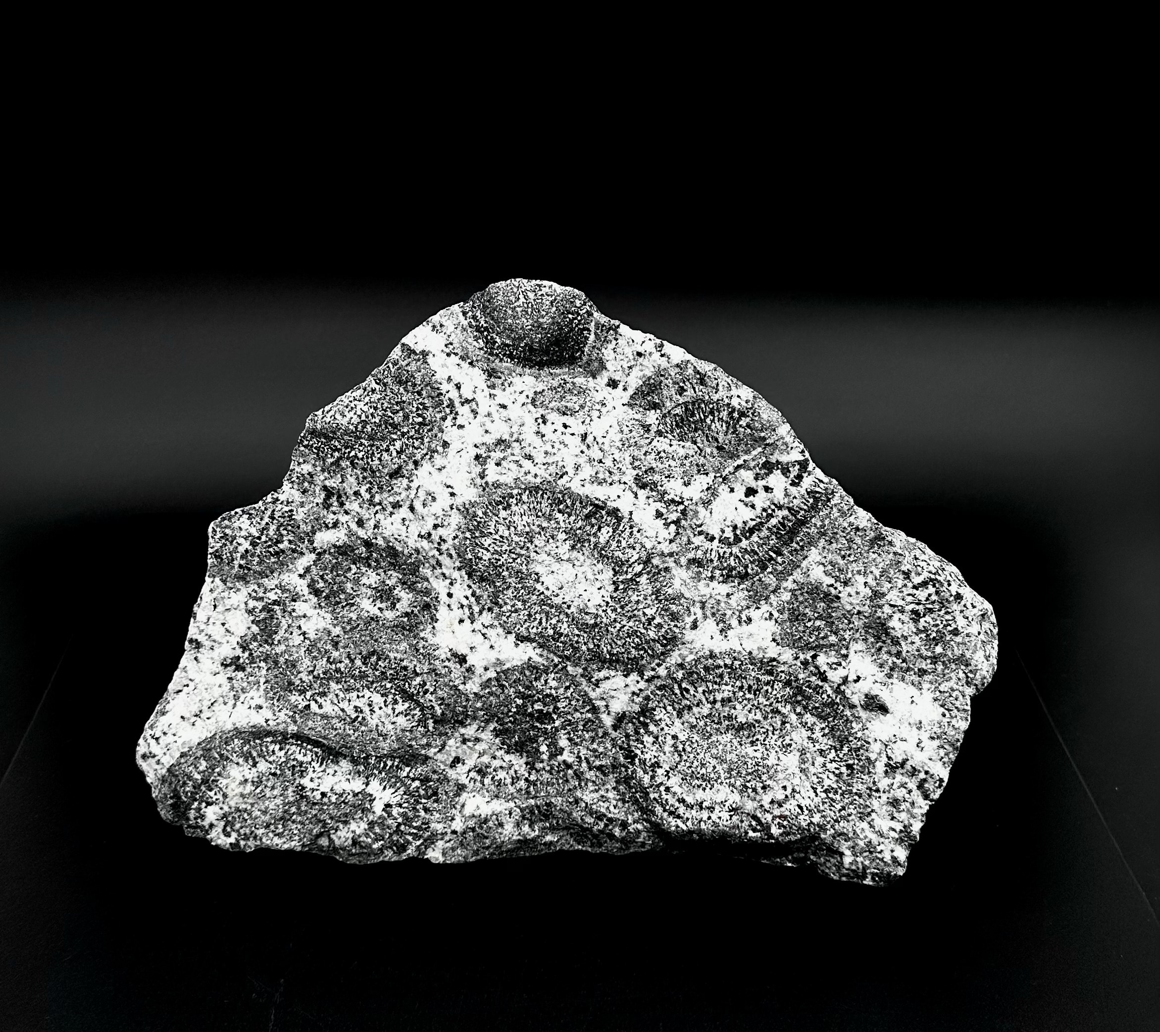 GR127 Orbicular Granite - The Rock Shed