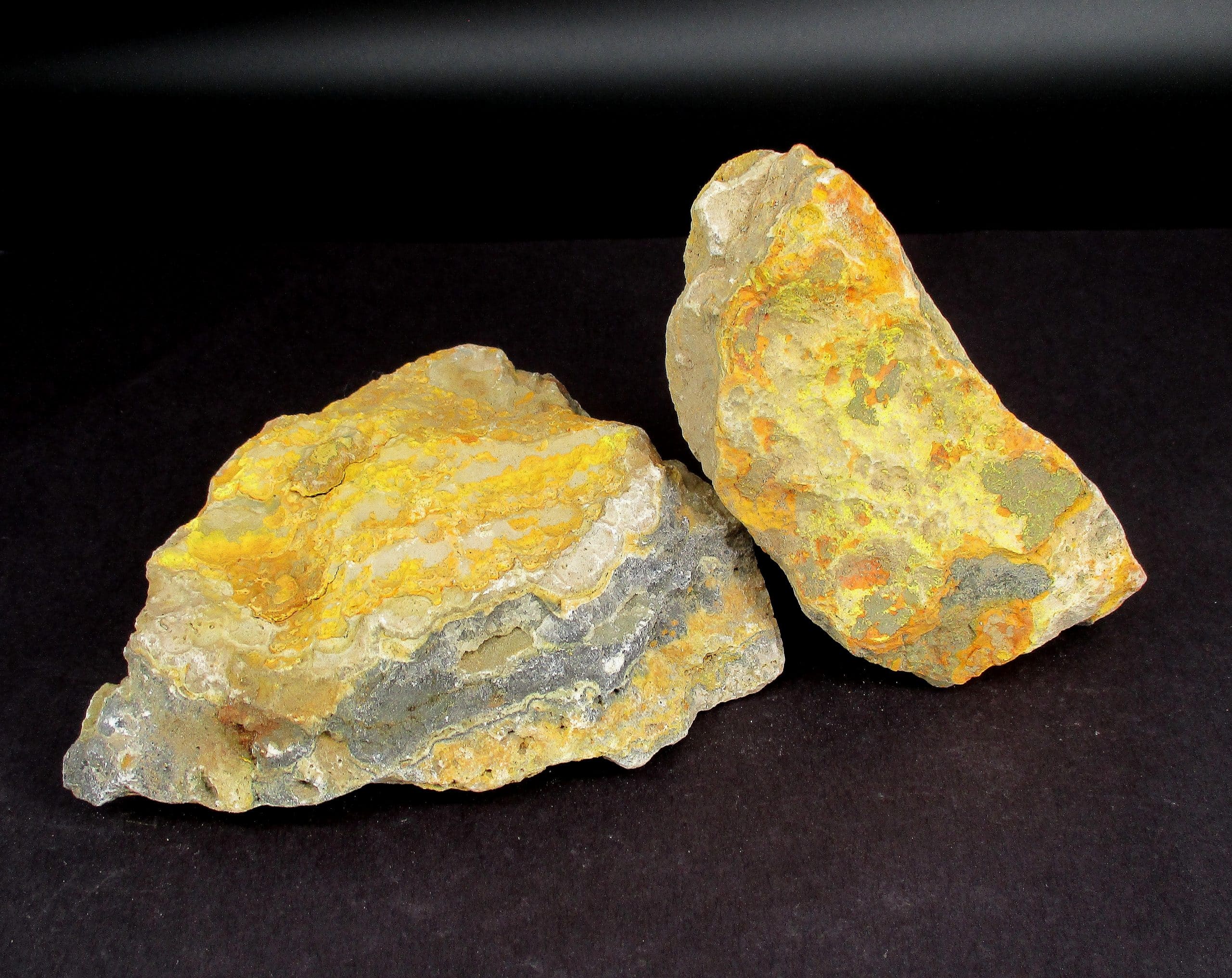 BCR424 Bumble Bee Jasper - The Rock Shed