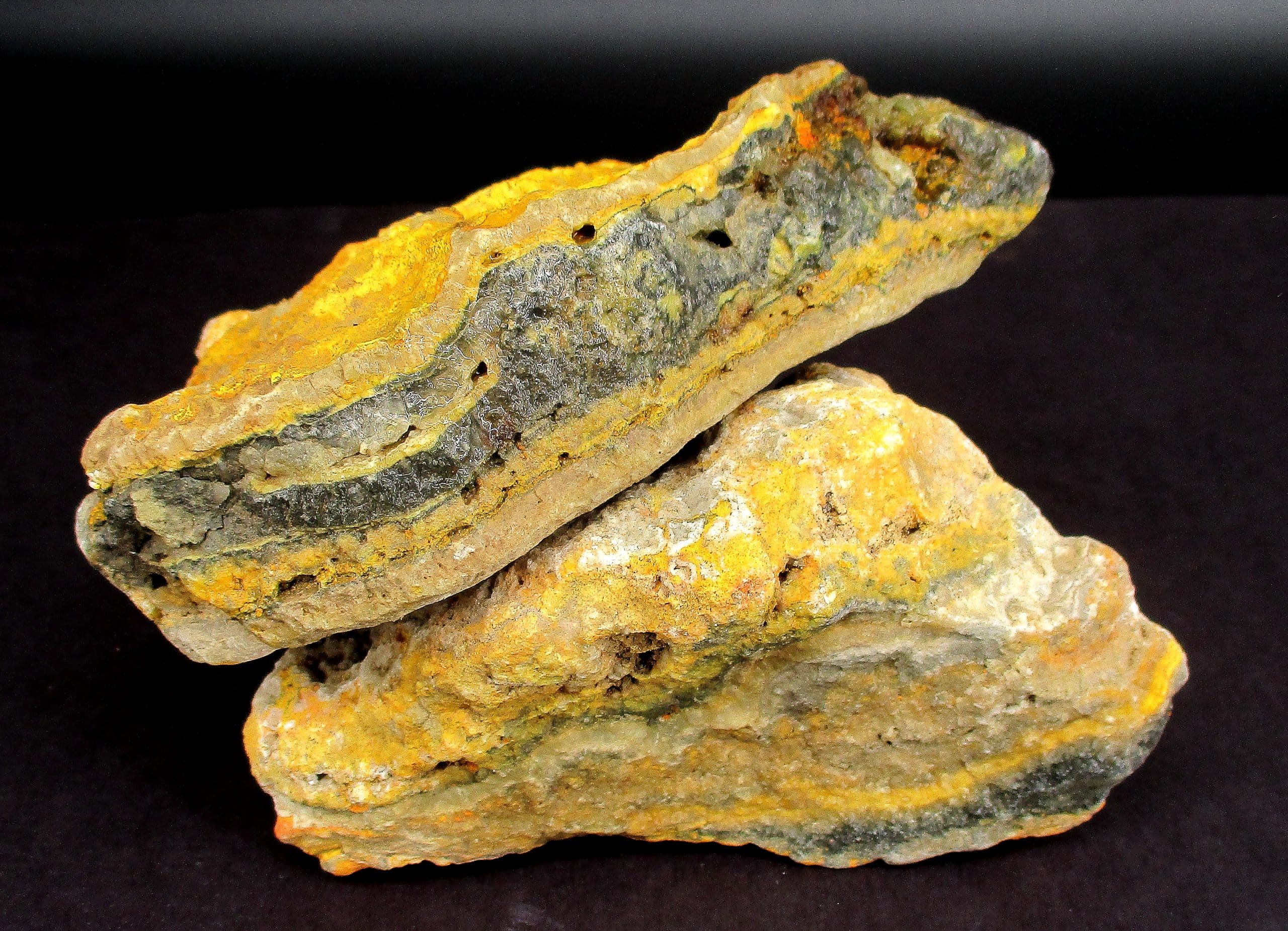 BCR424 Bumble Bee Jasper - The Rock Shed