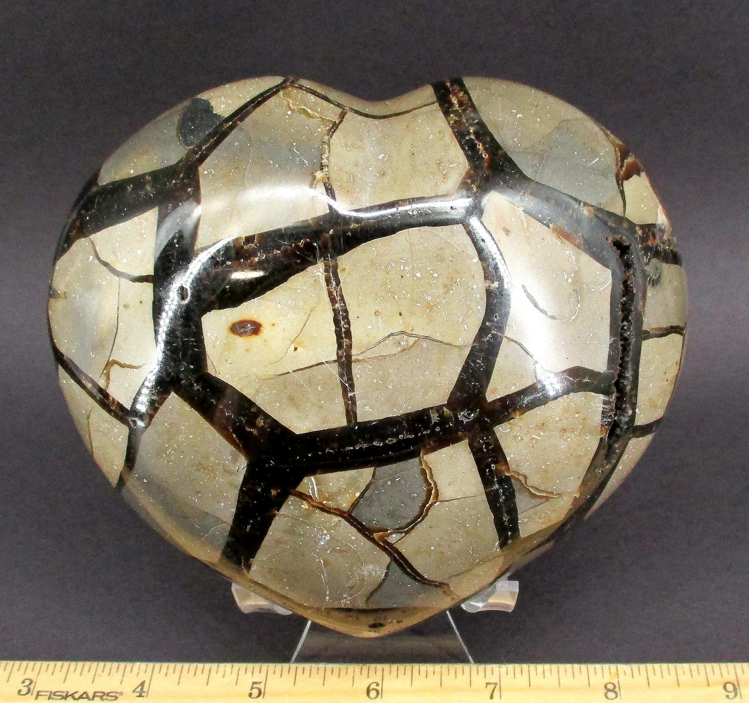 SEP105 Septarian Heart - The Rock Shed