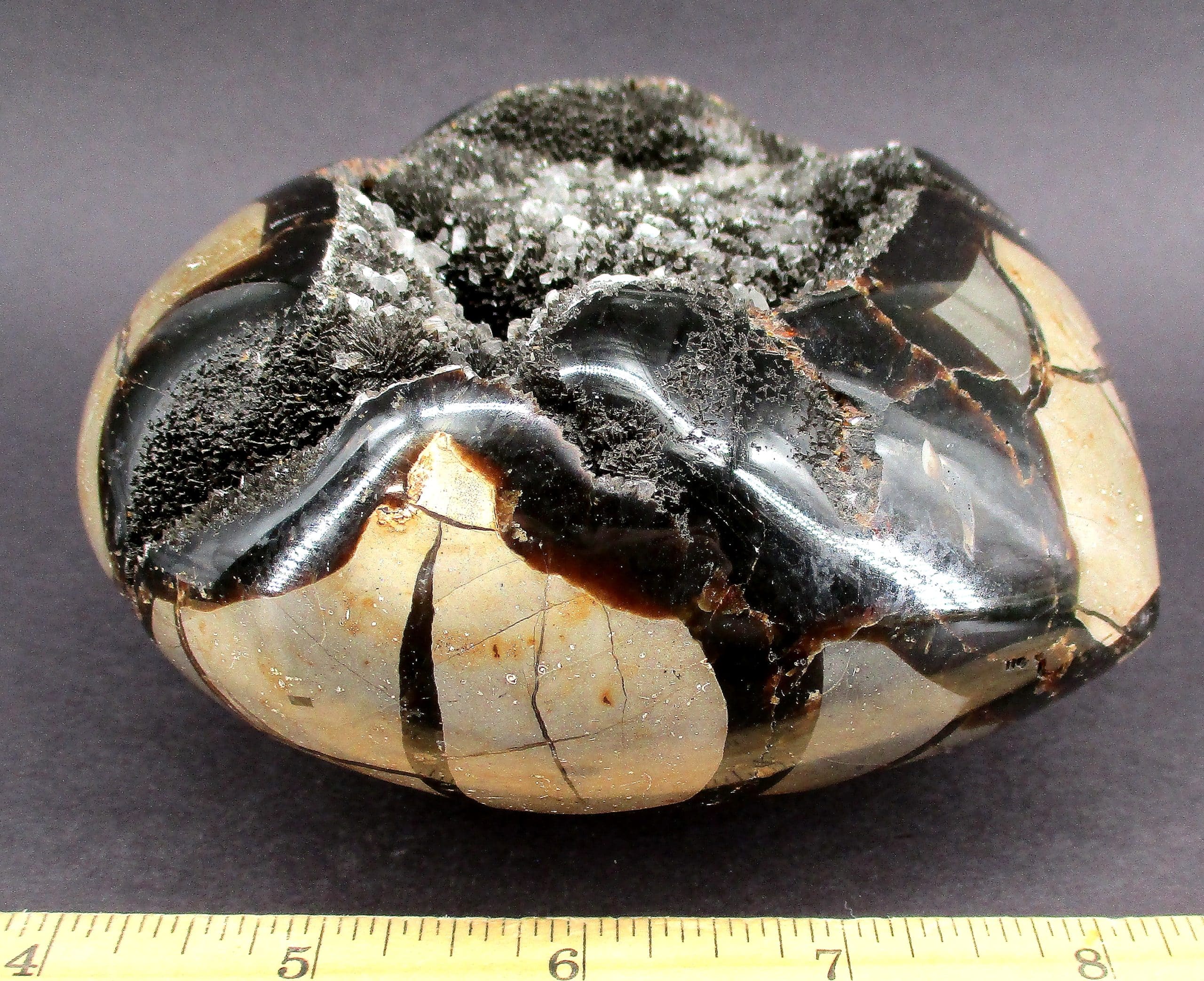 SEP105 Septarian Heart - The Rock Shed