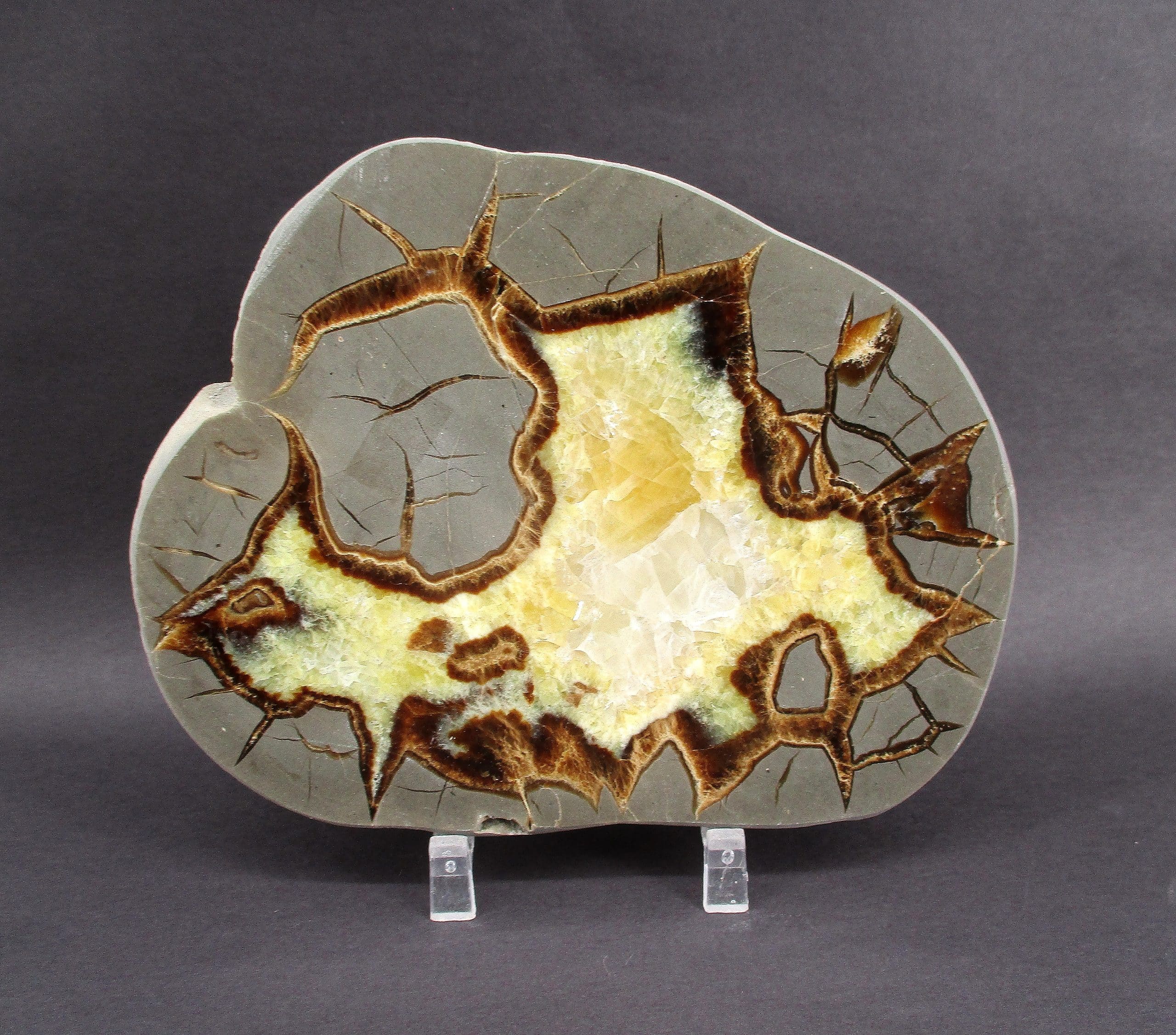 SEP114 Septarian Slab - The Rock Shed