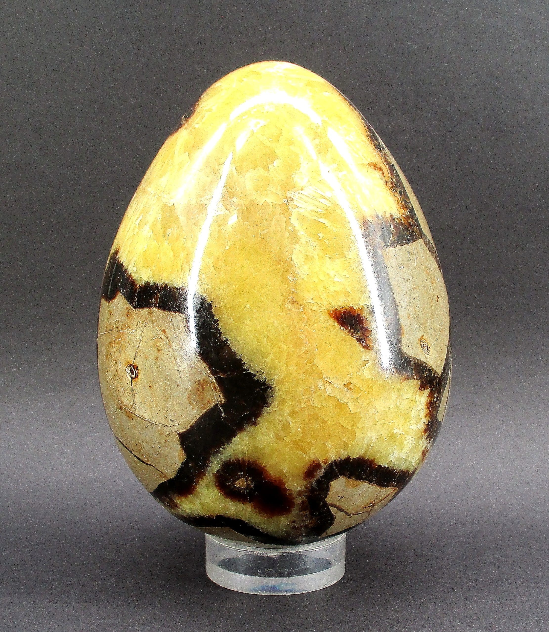 EGG107 Septarian - The Rock Shed