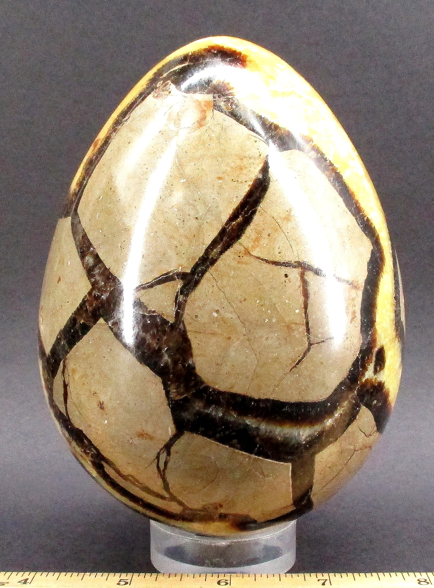 EGG107 Septarian - The Rock Shed
