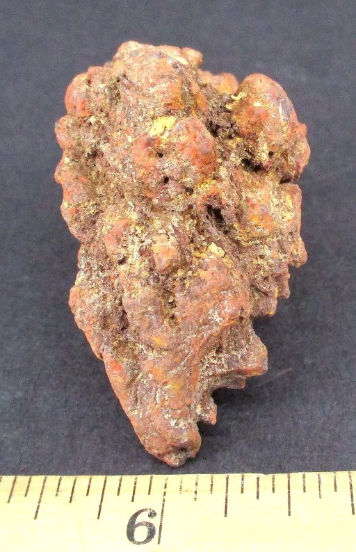 FO510 Fossil Turtle Poop - The Rock Shed