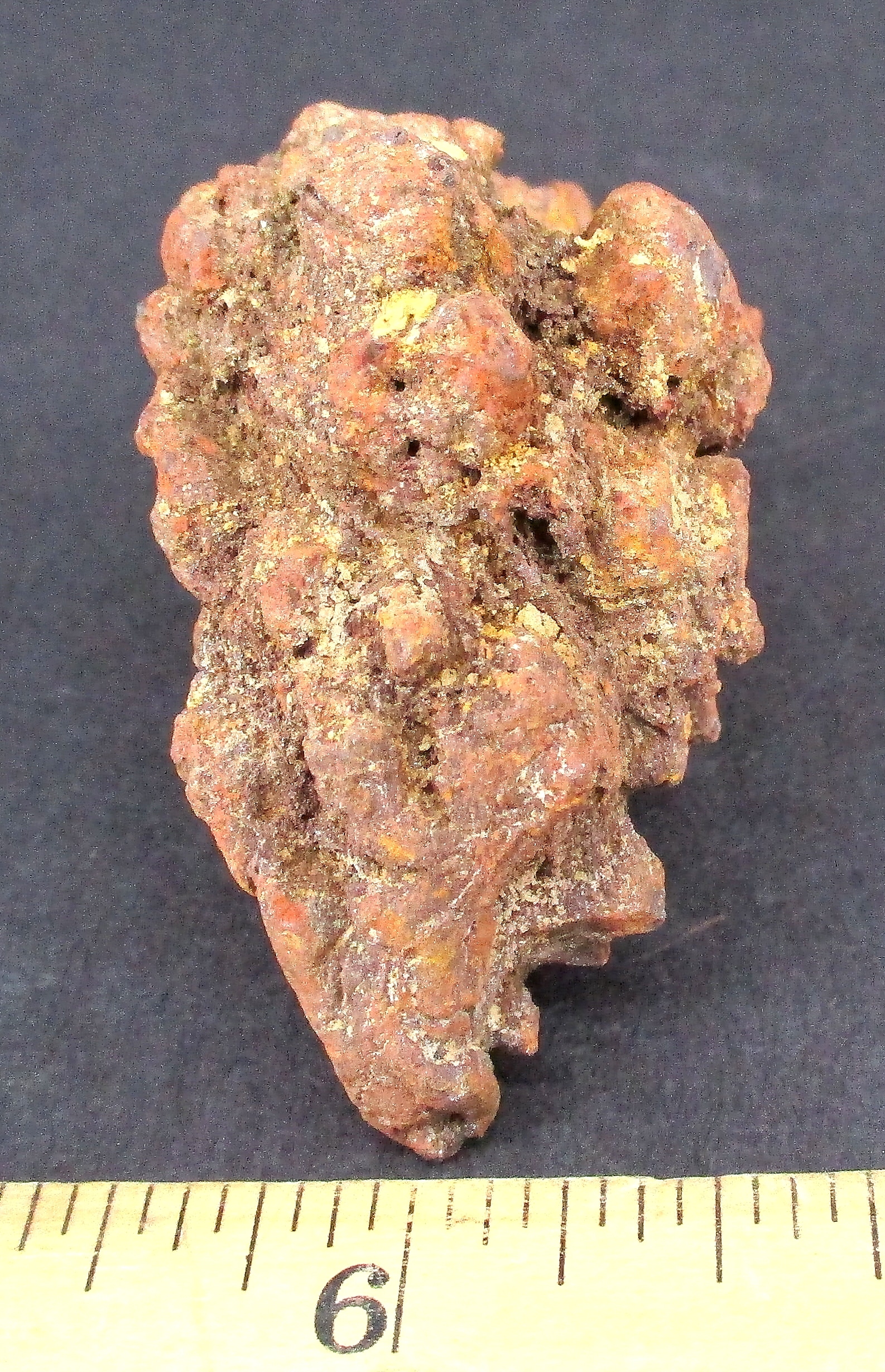 FO510 Fossil Turtle Poop - The Rock Shed