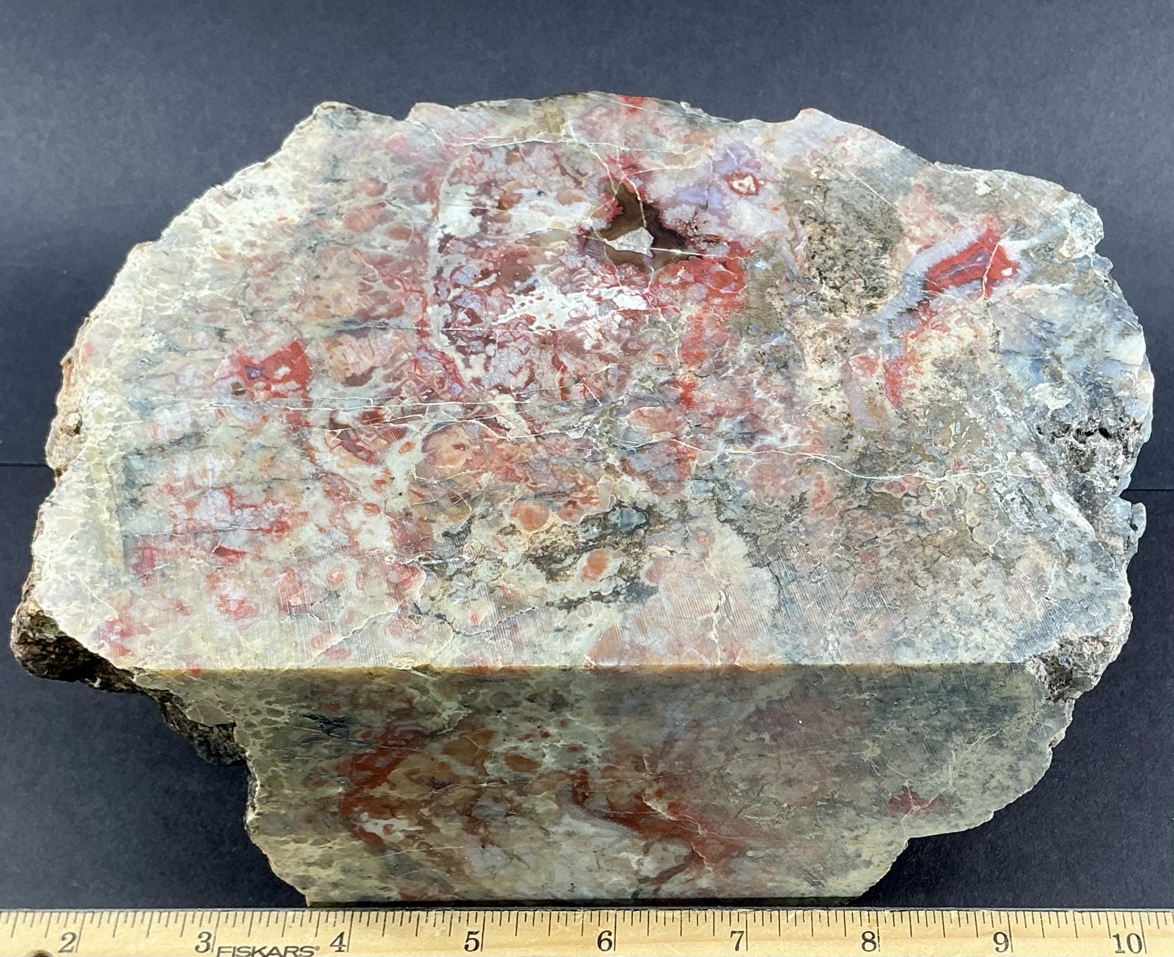 BCR410 Dinosaur Coprolite - The Rock Shed