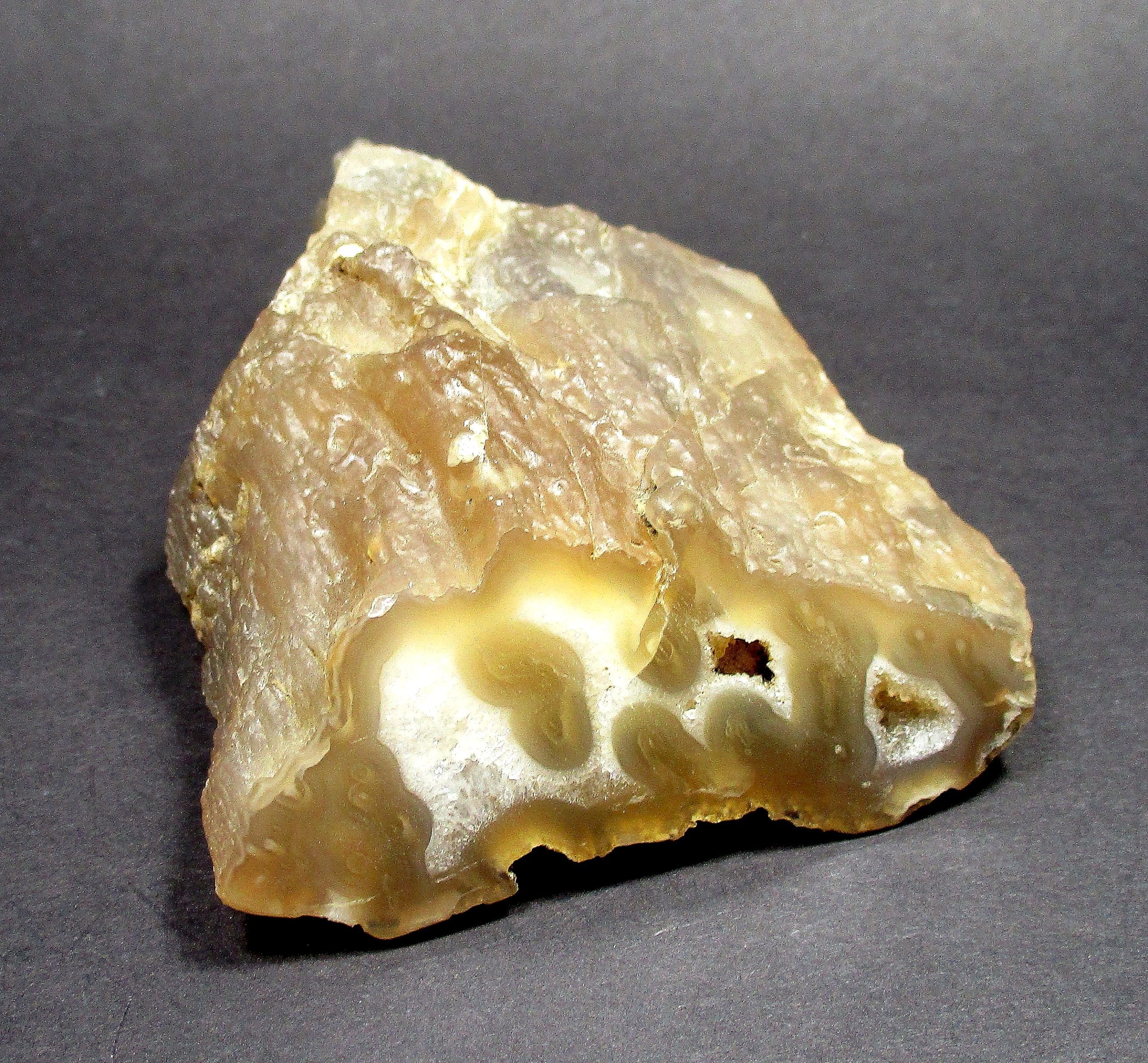 PW304 Wyoming Petrified Wood - The Rock Shed